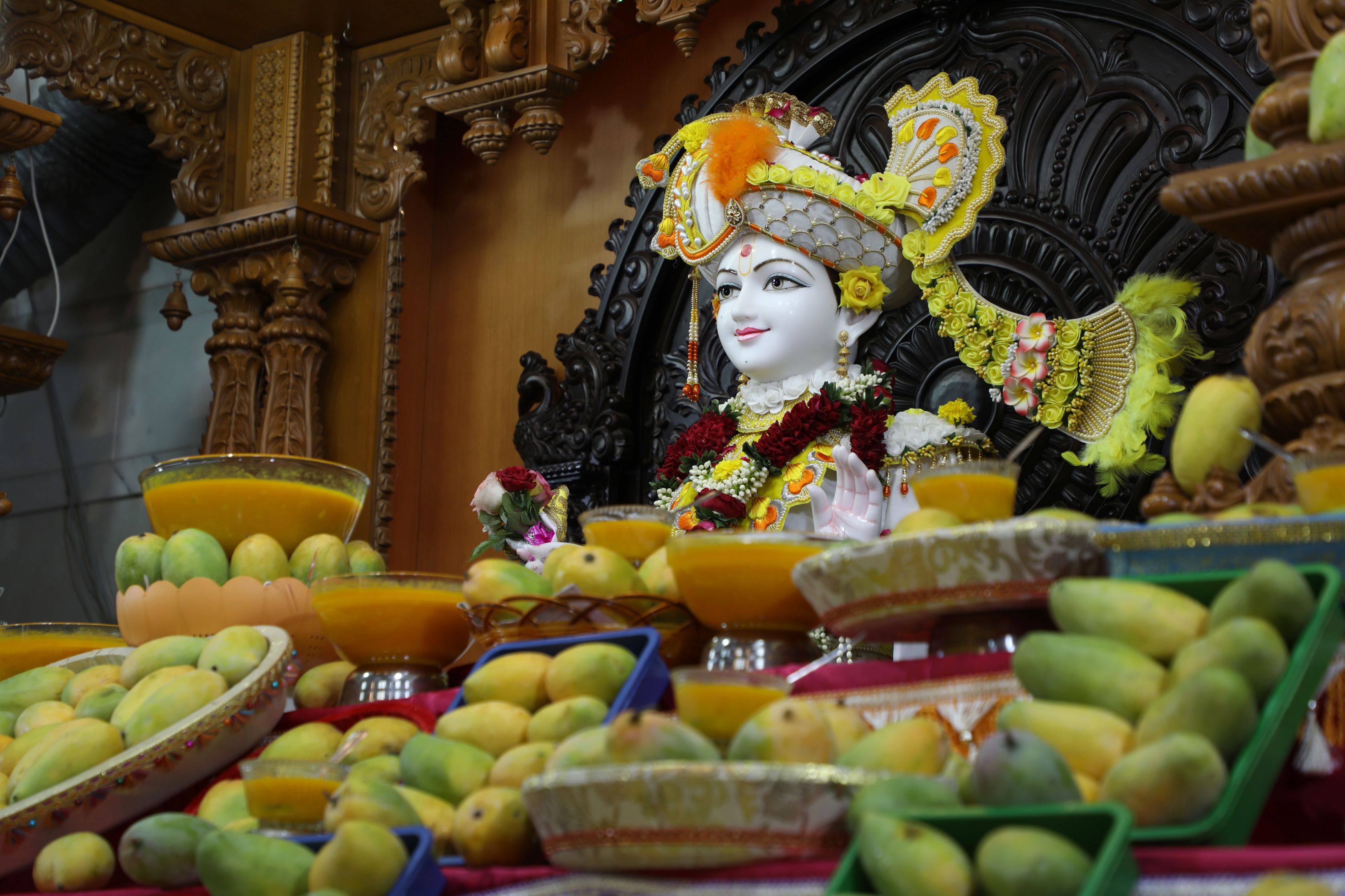 Ahmedabad Nikol Branch - A grand Amrotsav of 300 kg of mangoes was ...