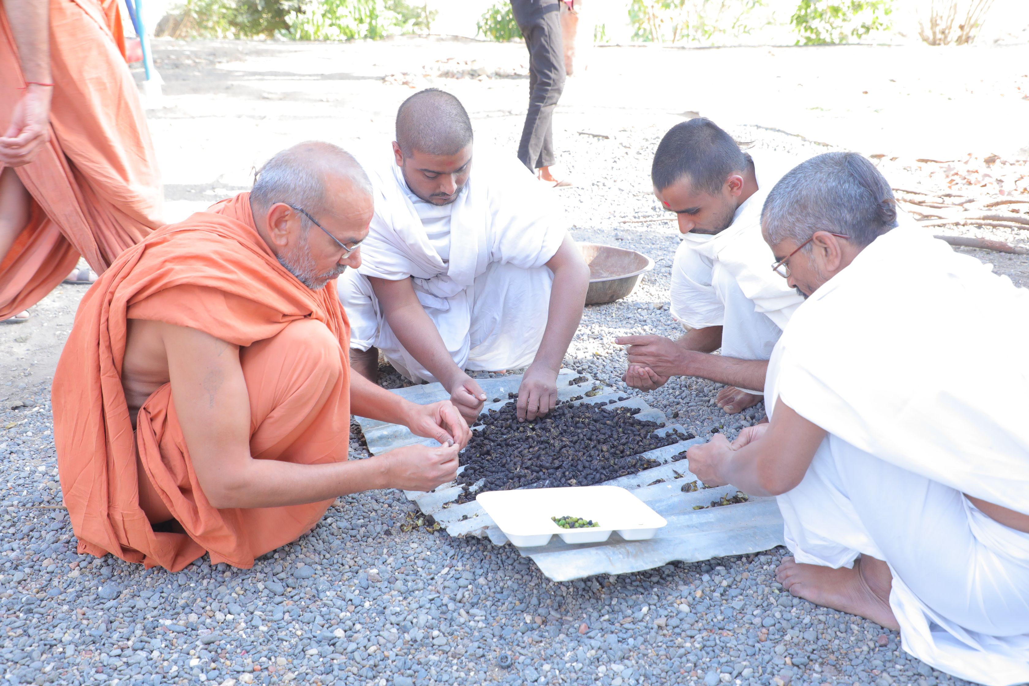 Rajkot Gurukul - Jinjara Utsav at Kankot Mukame Param Bhakta Hareshbhai ...