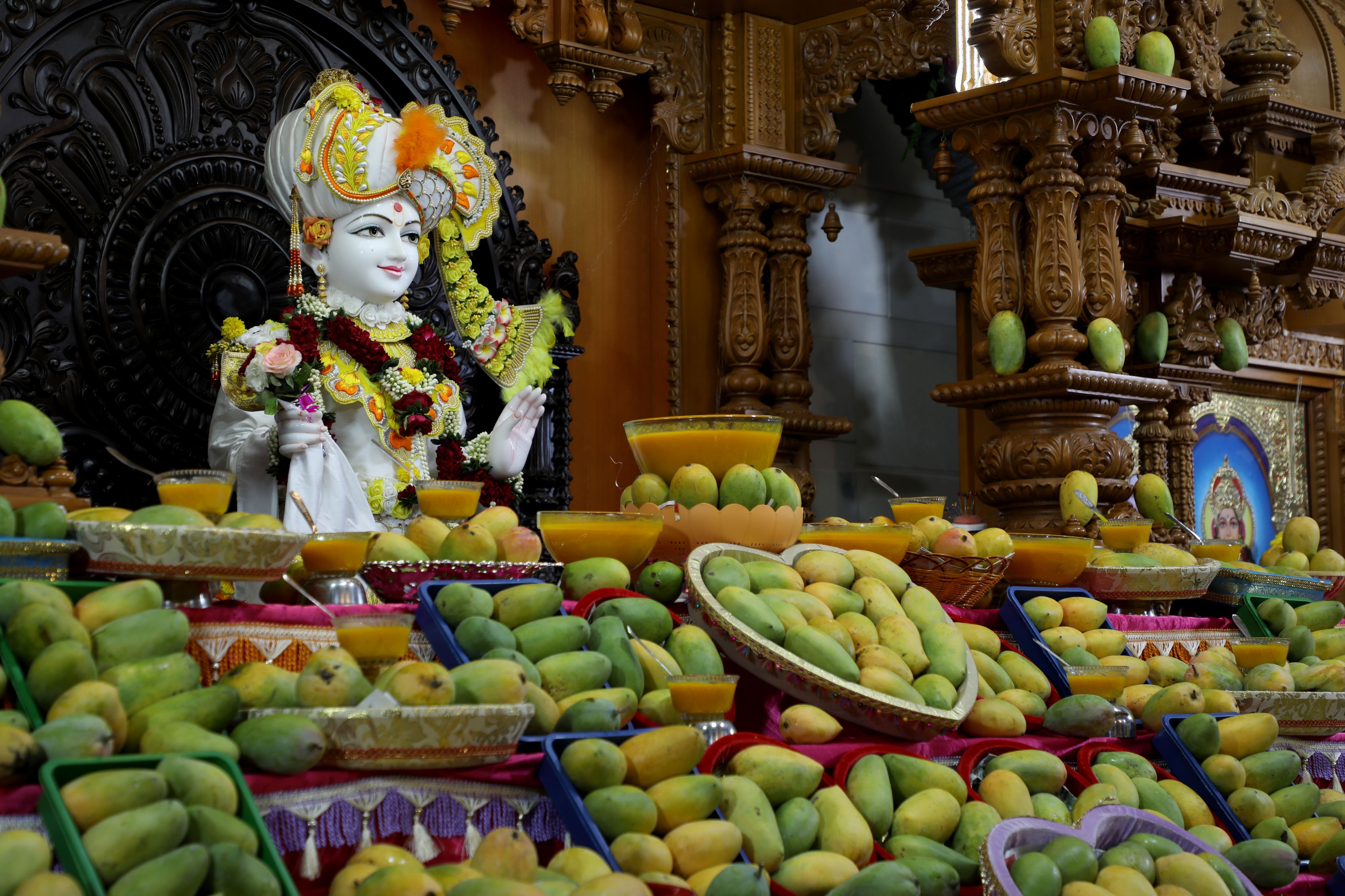 Ahmedabad Nikol Branch - A grand Amrotsav of 300 kg of mangoes was ...