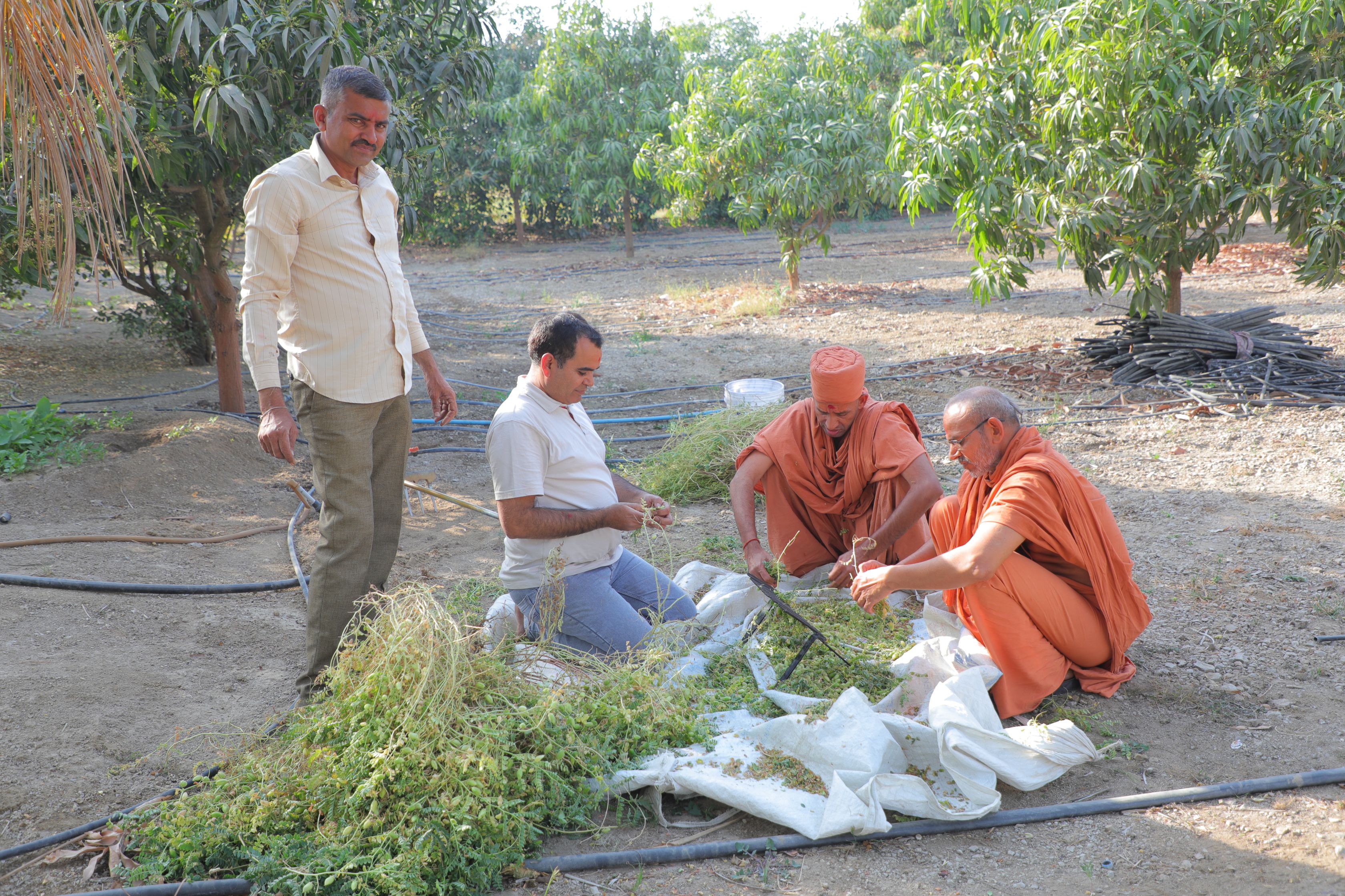 Rajkot Gurukul - Jinjara Utsav at Kankot Mukame Param Bhakta Hareshbhai ...