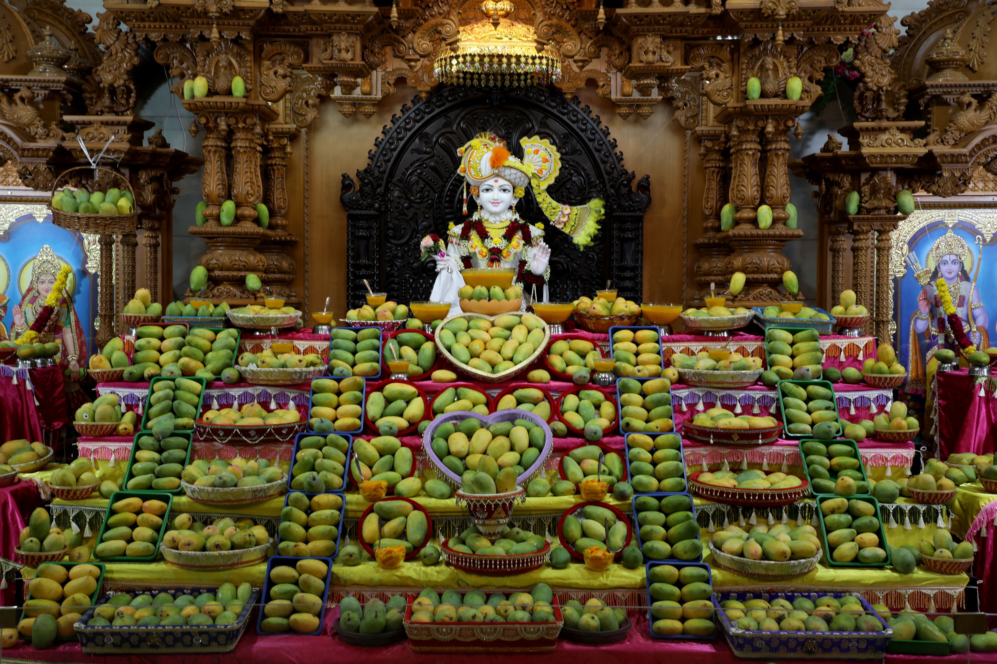 Ahmedabad Nikol Branch - A grand Amrotsav of 300 kg of mangoes was ...