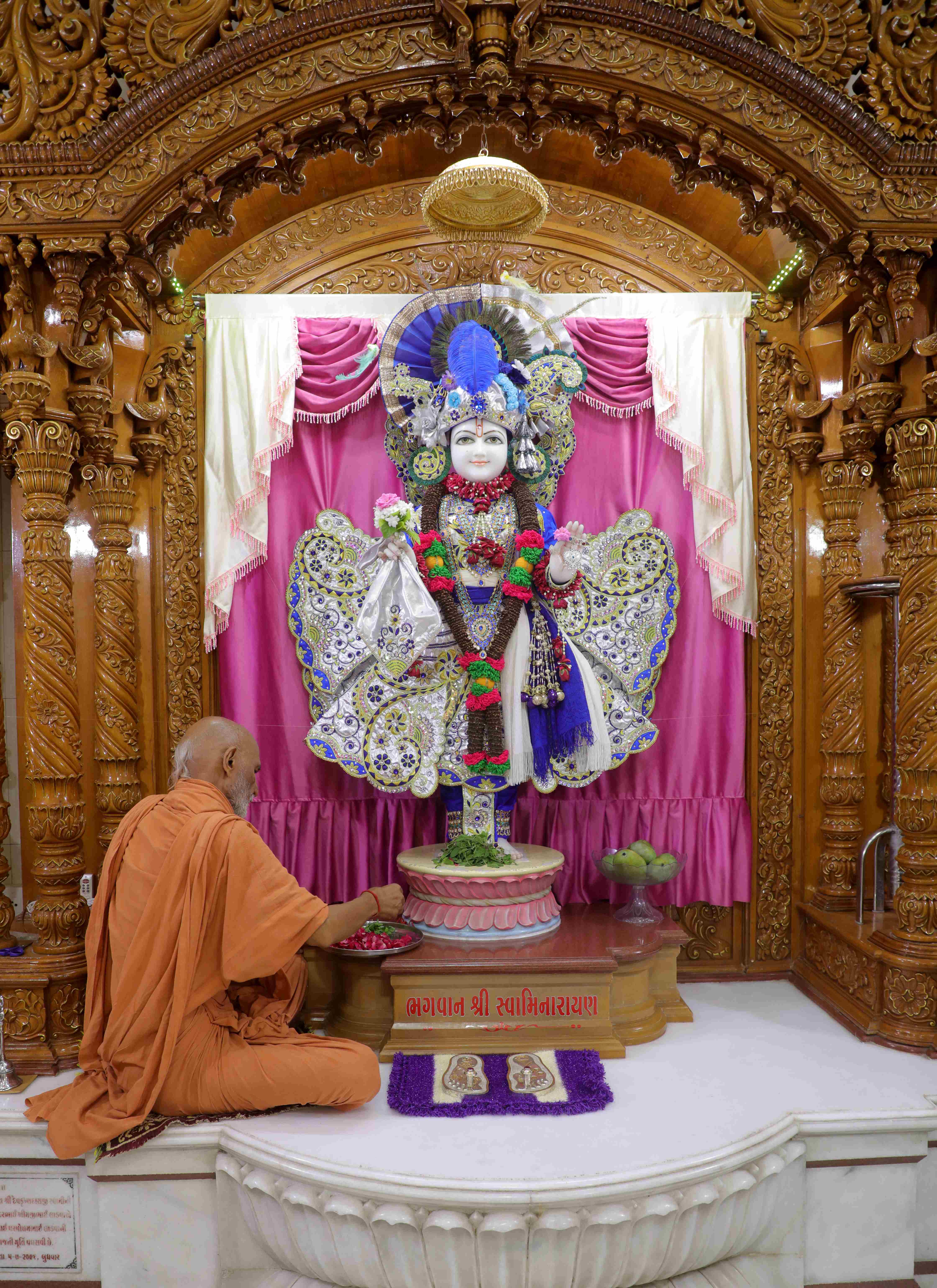 Janmangal Anushthan of 75 Lakh Paath started by Santo on the Occasion ...