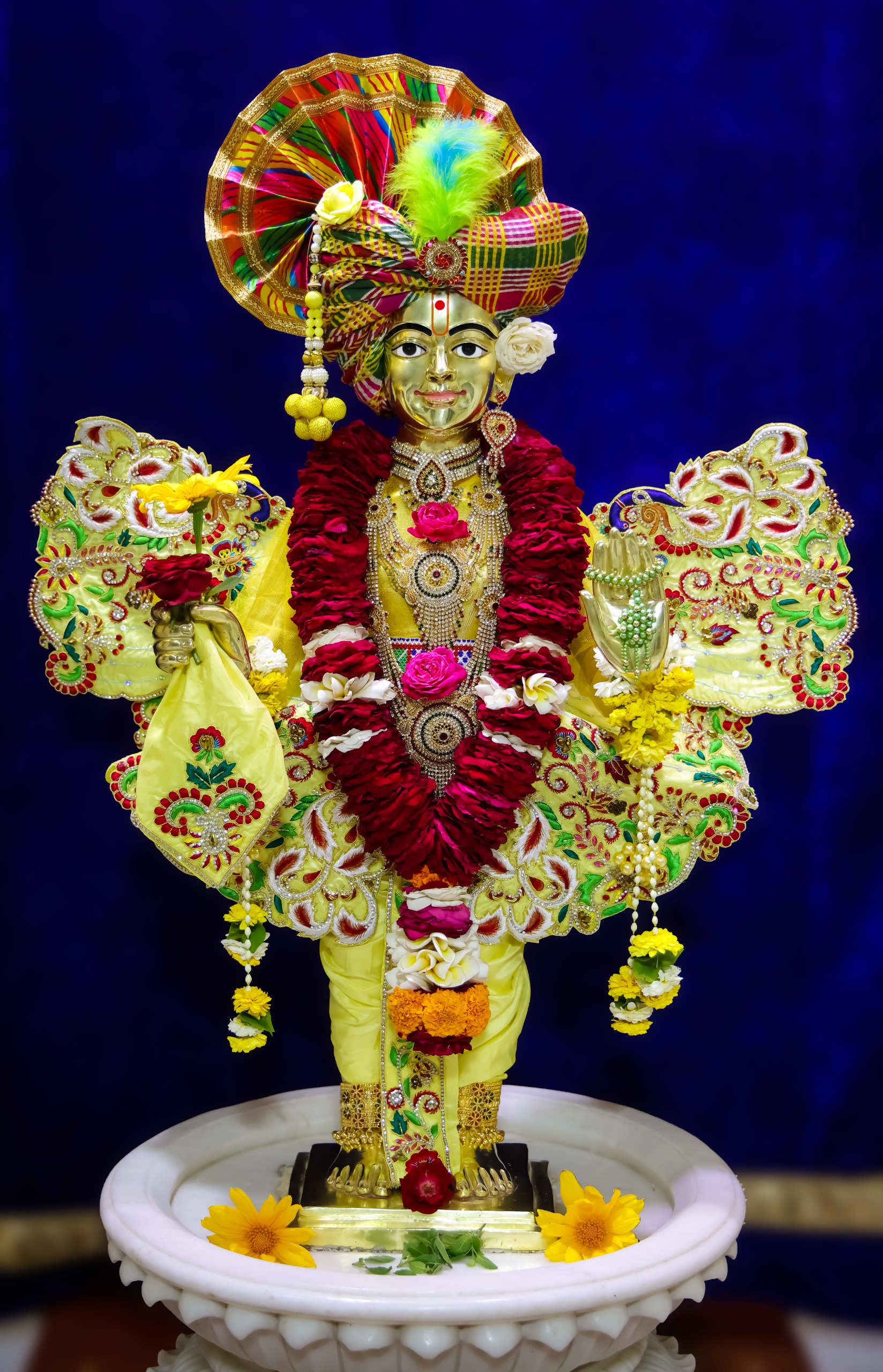Australia Branch - Daily Darshan